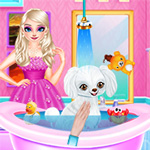 My New Poodle Friend - Free Mobile Game Online